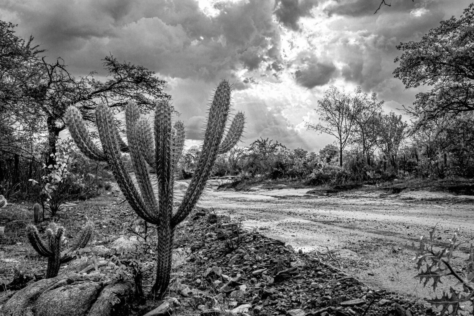 Sertão Imponente - FotoDoc