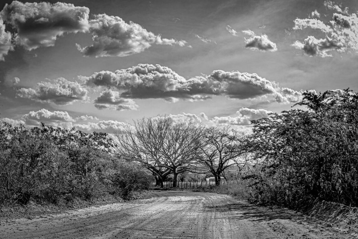 Sertão Imponente - FotoDoc