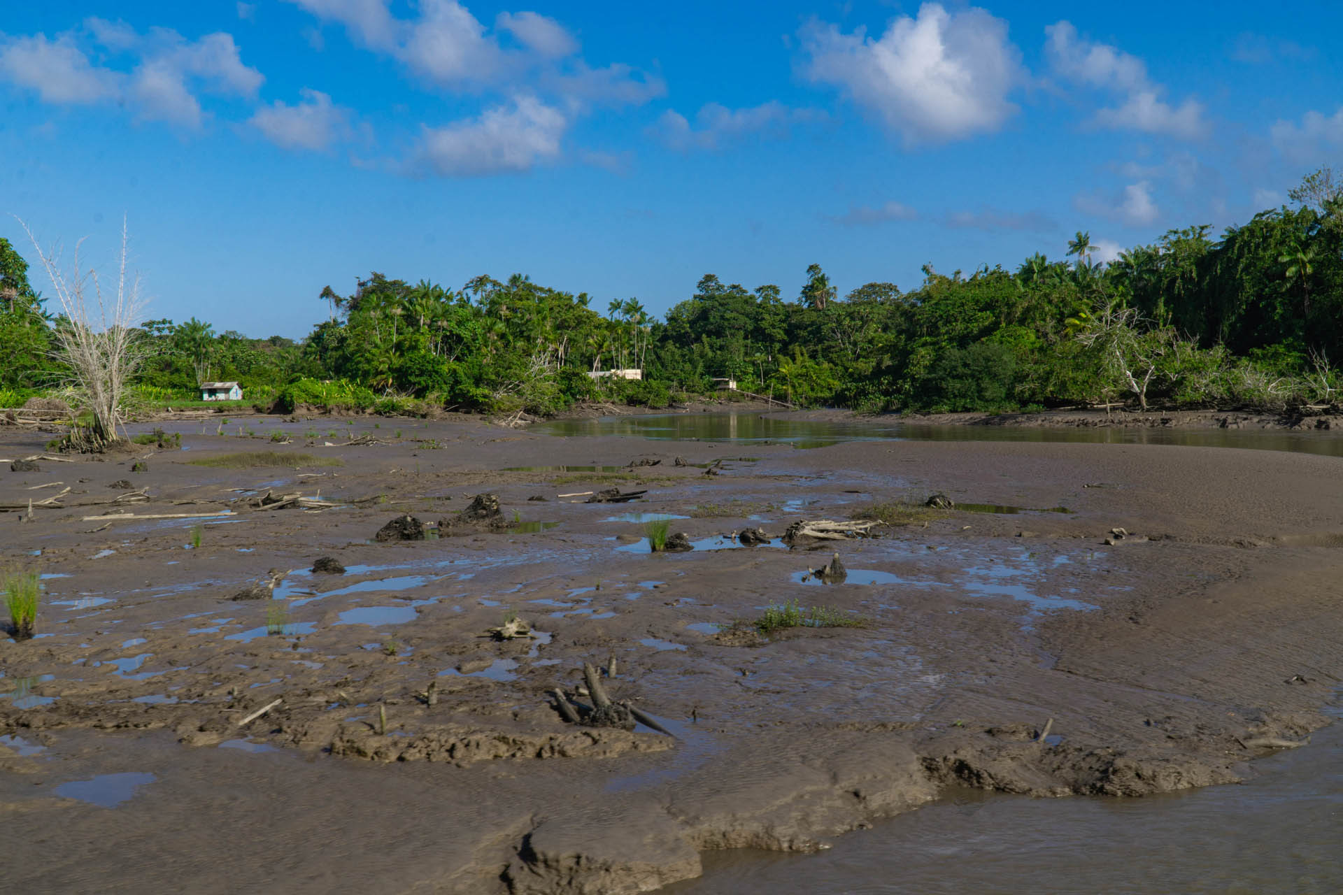 Caminhos e Paisagens do Curuá - FotoDoc