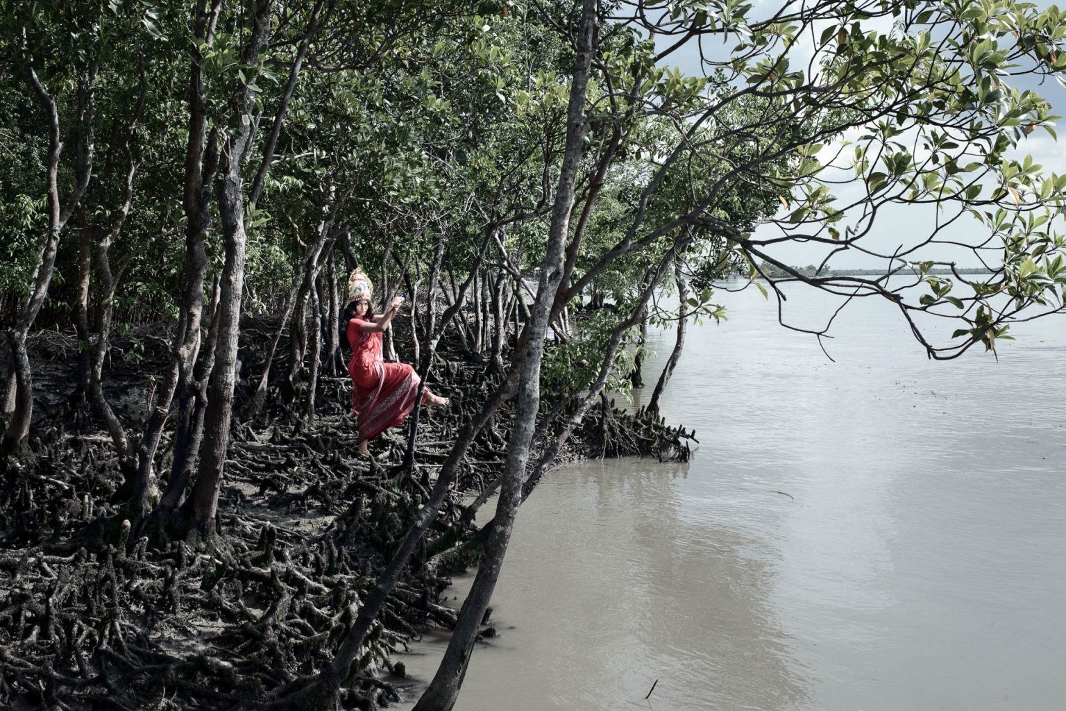 The Blue Fig - FotoDoc